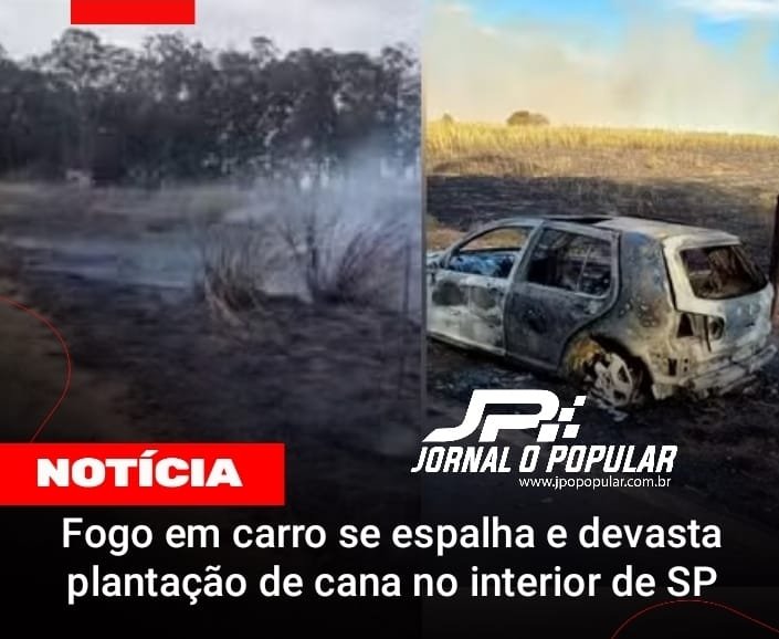Fogo em carro se espalha e devasta plantação de cana no interior de SP ...